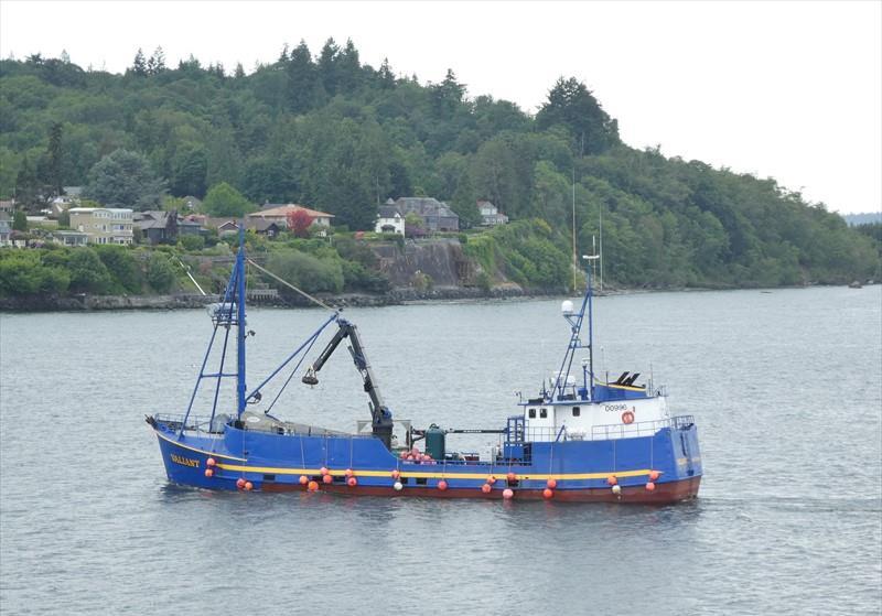 VALIANT - Vesseljoin