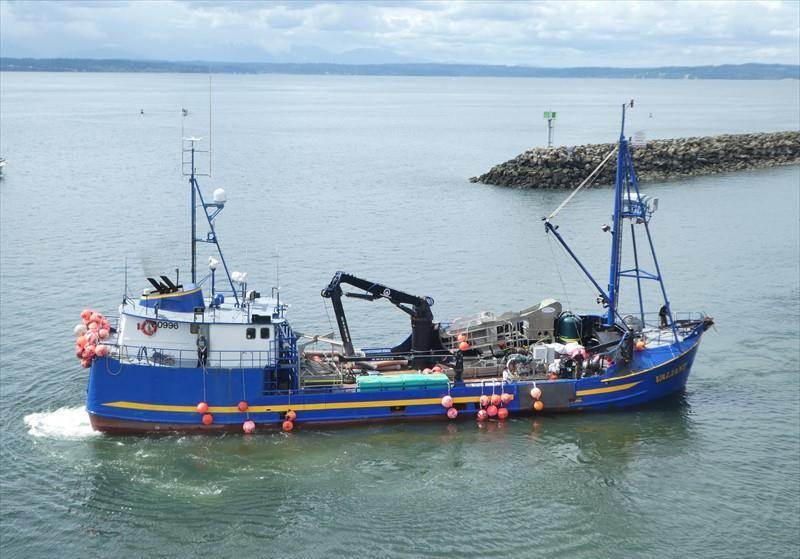 VALIANT - Vesseljoin