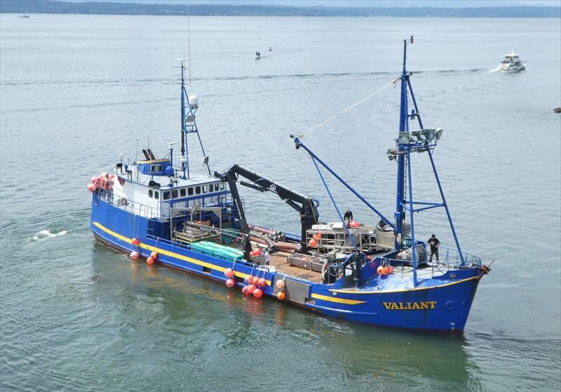 VALIANT - Vesseljoin