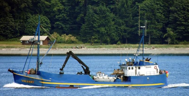 VALIANT - Vesseljoin