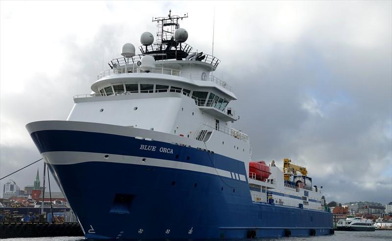 BLUE ORCA - Vesseljoin