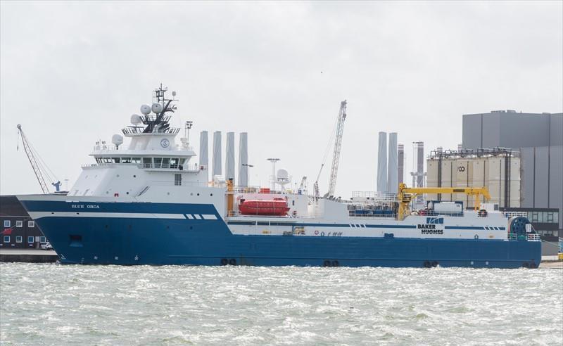 BLUE ORCA - Vesseljoin