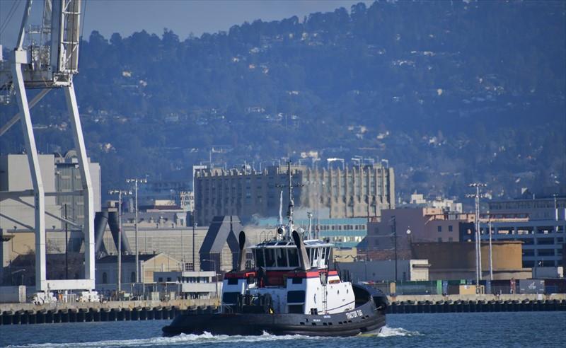 JAMIE RENEA - Vesseljoin