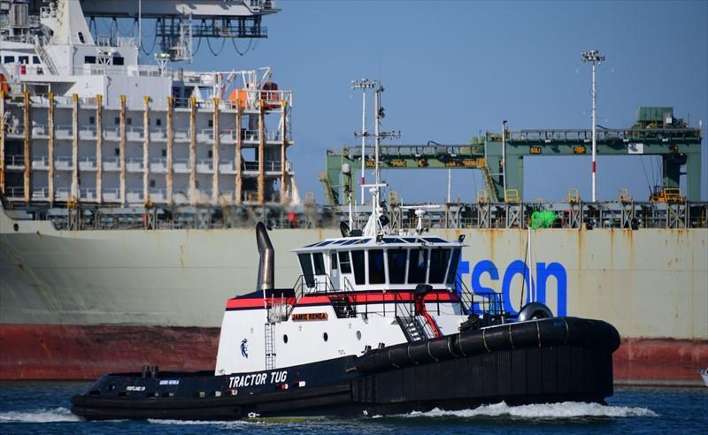 JAMIE RENEA - Vesseljoin