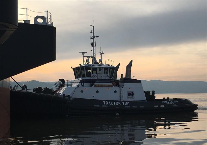 JAMIE RENEA - Vesseljoin