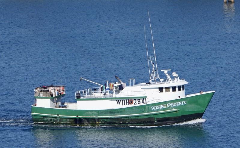 RISING PHOENIX - Vesseljoin