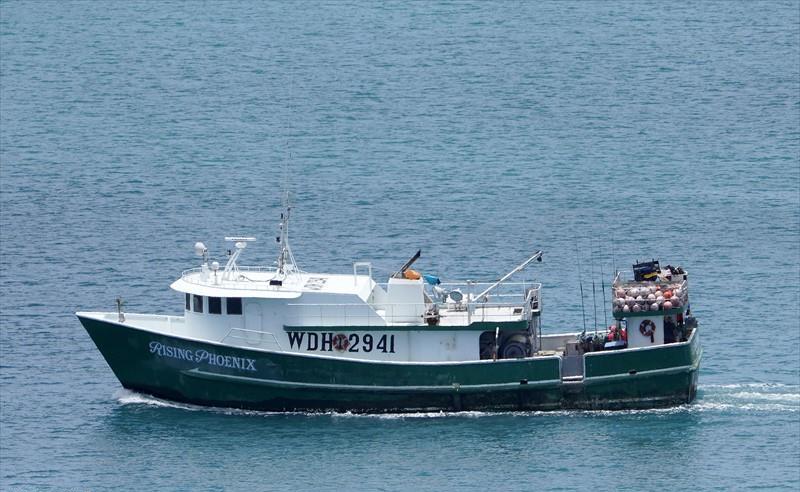 RISING PHOENIX - Vesseljoin