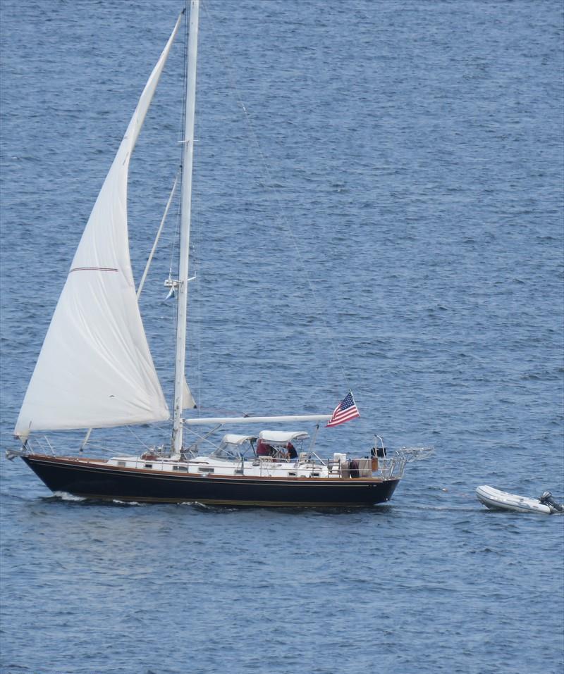 CYNOSURE - Vesseljoin