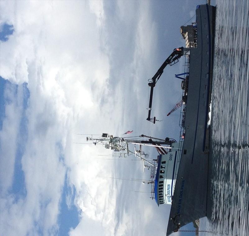 SILVER DOLPHIN - Vesseljoin