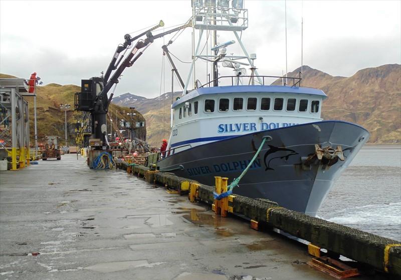 SILVER DOLPHIN - Vesseljoin