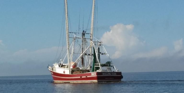 ROLLING TIDE - Vesseljoin