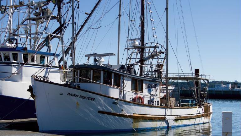 DAWN VENTURE - Vesseljoin