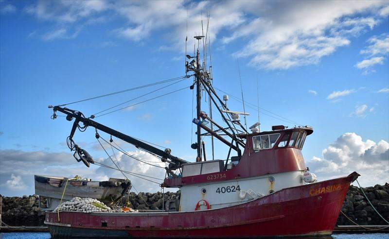 CHASINA - Vesseljoin