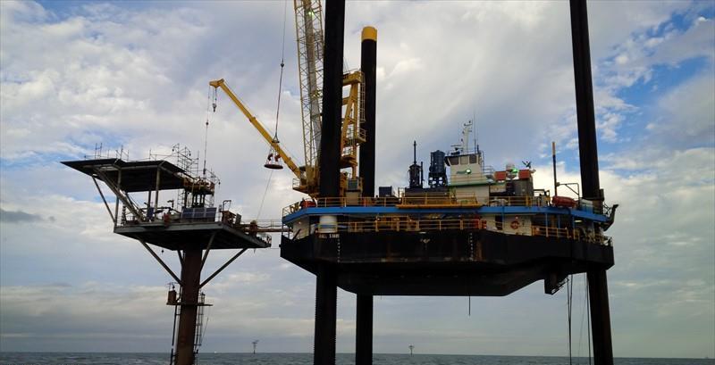 BULL SHARK - Vesseljoin