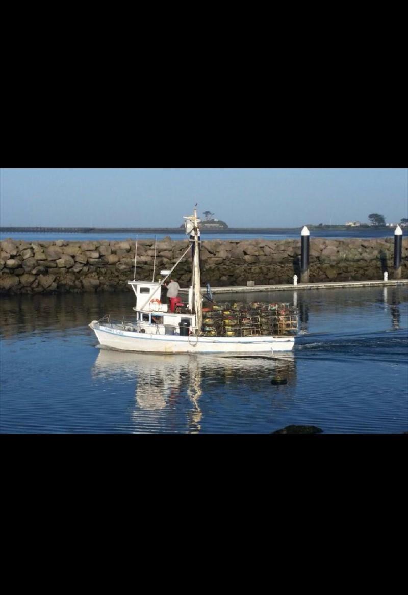 HONEY GALE - Vesseljoin