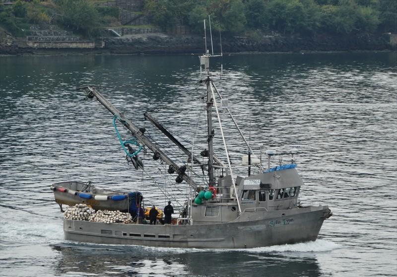 SOFIA LYNN - Vesseljoin