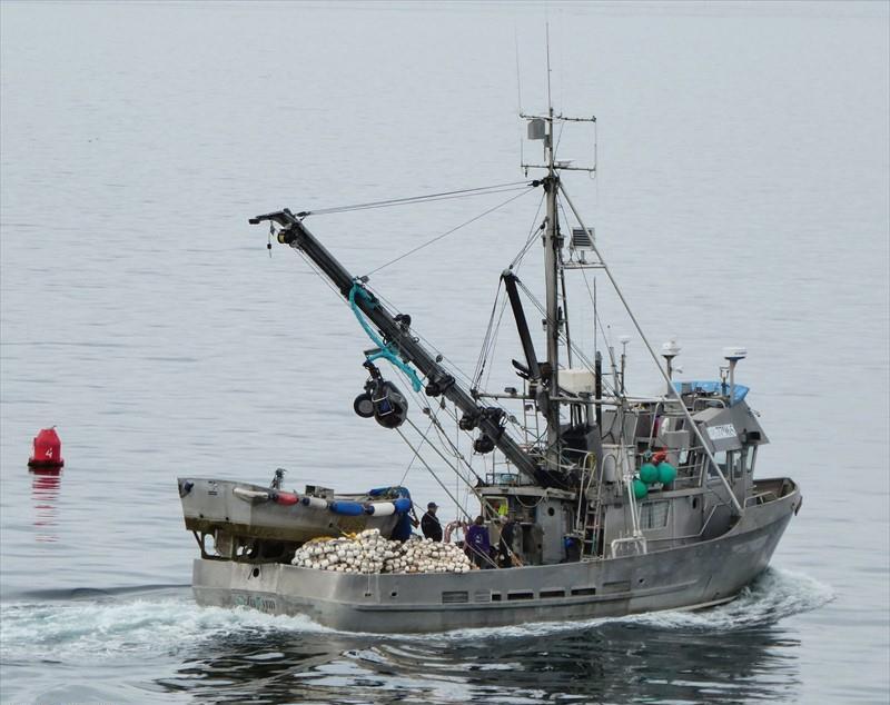 SOFIA LYNN - Vesseljoin