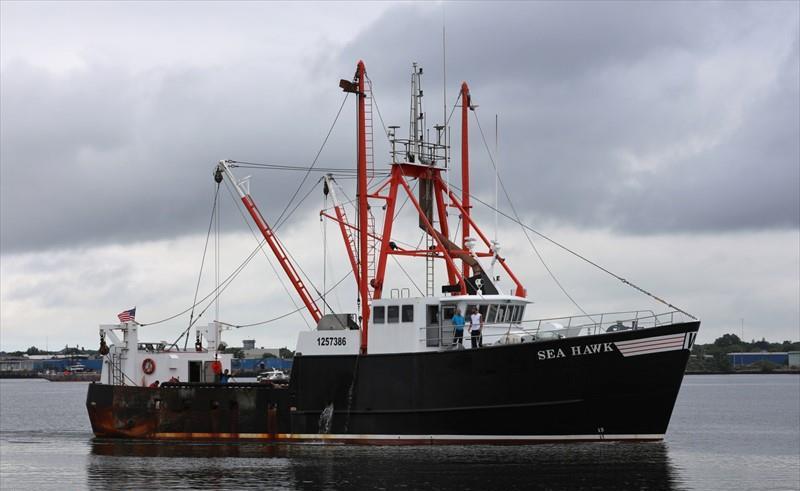 SEA HAWK - Vesseljoin