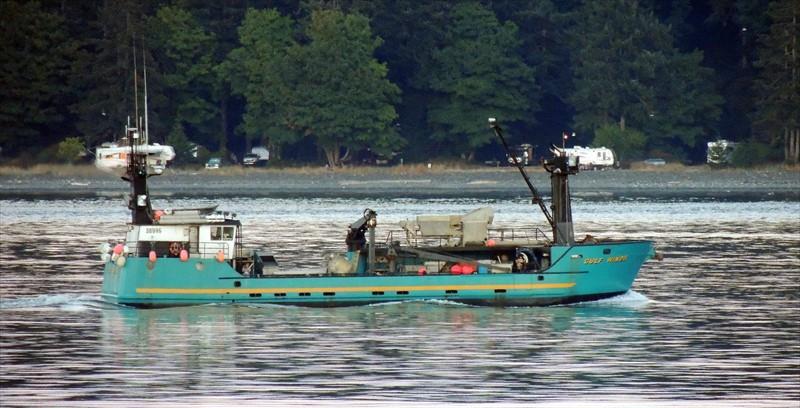 GULF WINDS - Vesseljoin