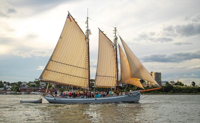 TIMBERWIND - Vesseljoin