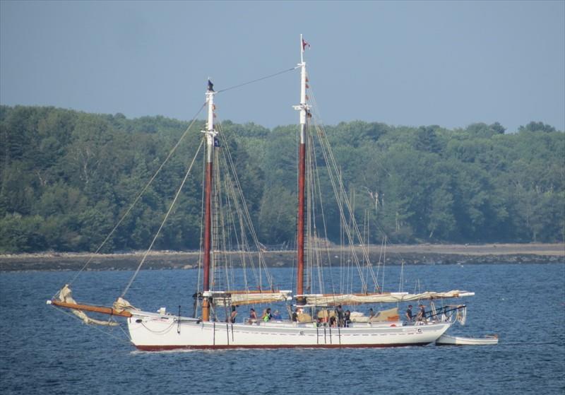 TIMBERWIND - Vesseljoin