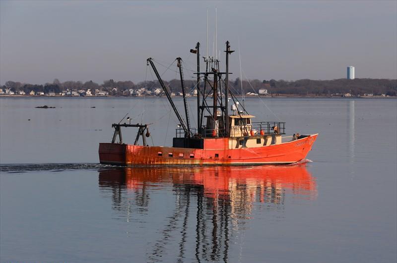 OCEAN SCOUT - Vesseljoin