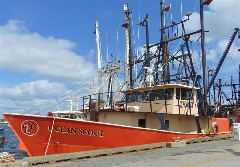 OCEAN SCOUT - Vesseljoin