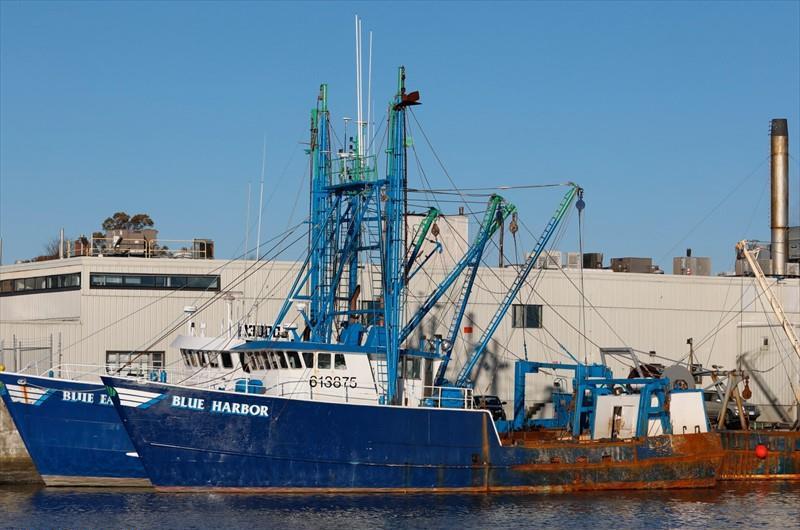 BLUE HARBOR - Vesseljoin