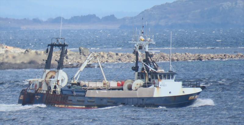 MUIR MILACH - Vesseljoin