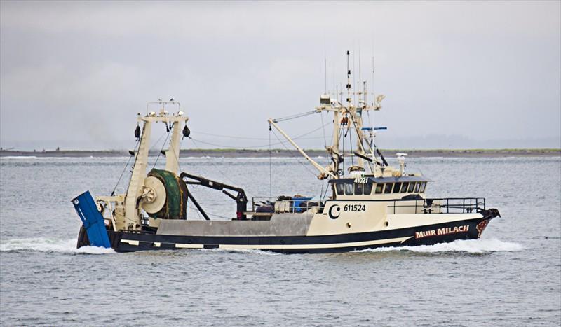 MUIR MILACH - Vesseljoin