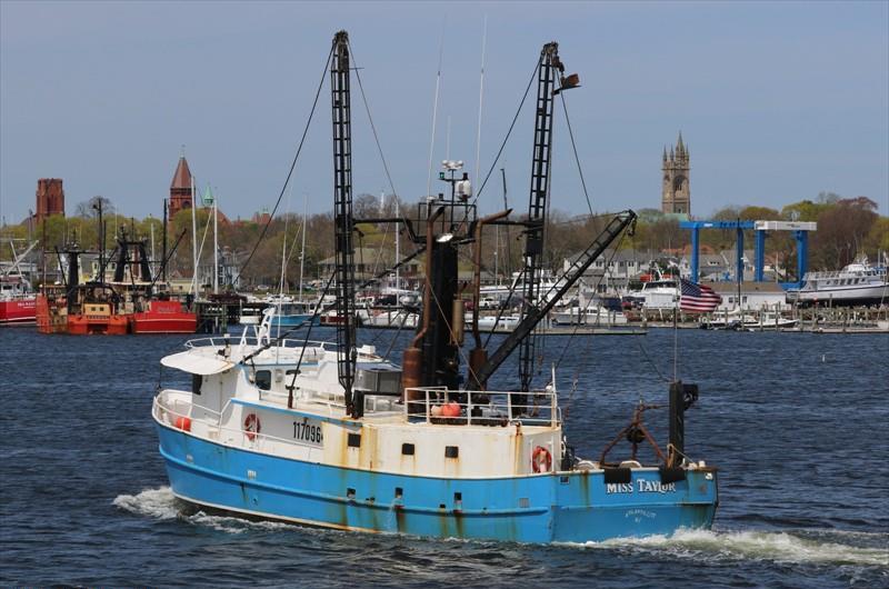 MISS TAYLOR - Vesseljoin