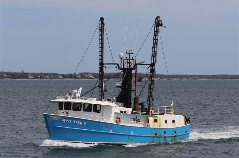 MISS TAYLOR - Vesseljoin