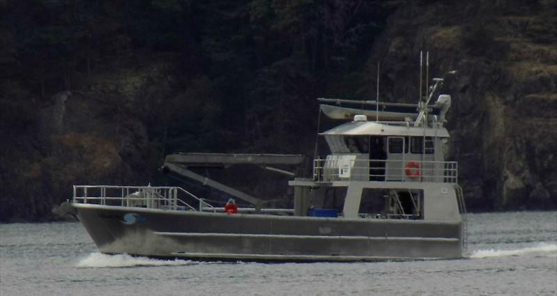 GALACTIC ICE - Vesseljoin