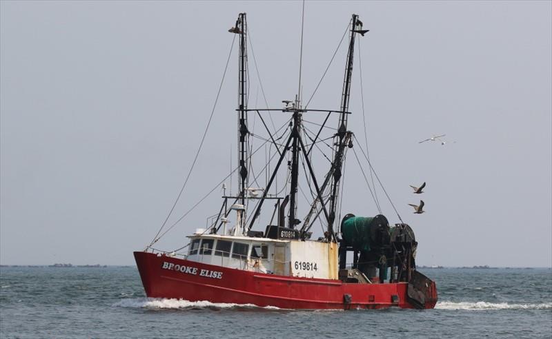 BROOKE ELISE - Vesseljoin