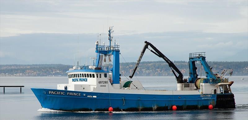 PACIFIC PRINCE - Vesseljoin