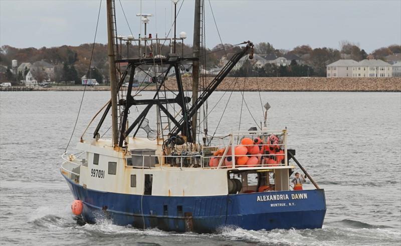 ALEXANDRIA DAWN - Vesseljoin