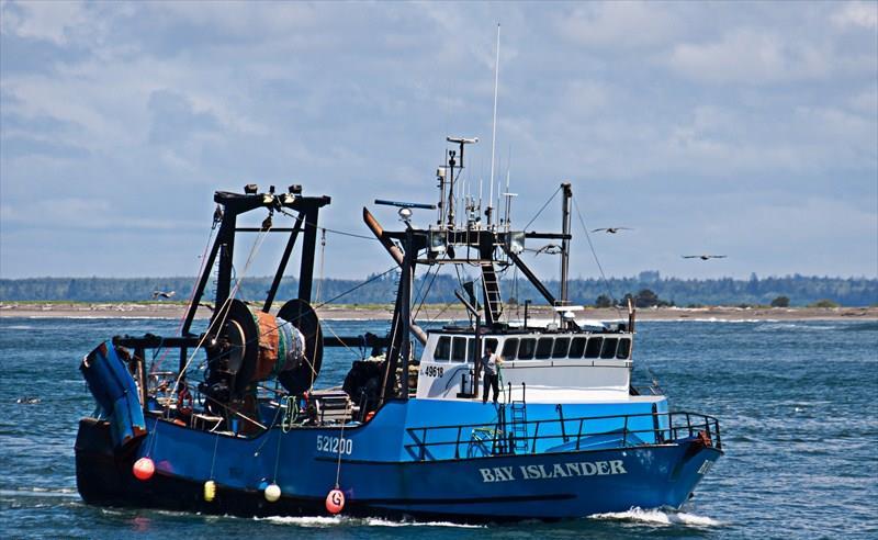 BAY ISLANDER - Vesseljoin