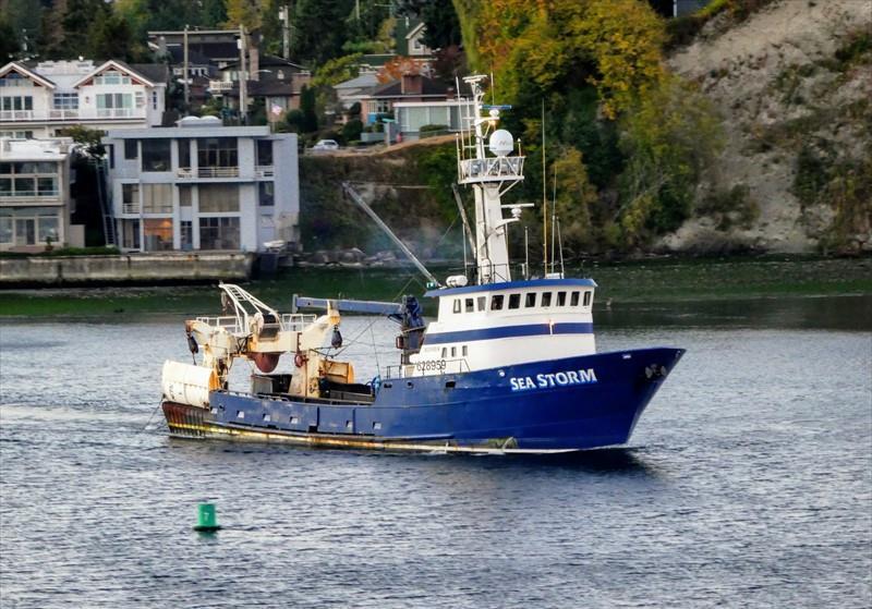 SEA STORM - Vesseljoin