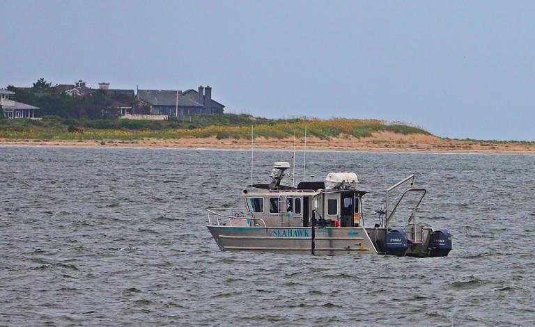 SEAHAWK - Vesseljoin