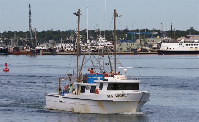 SEA ANGEL - Vesseljoin