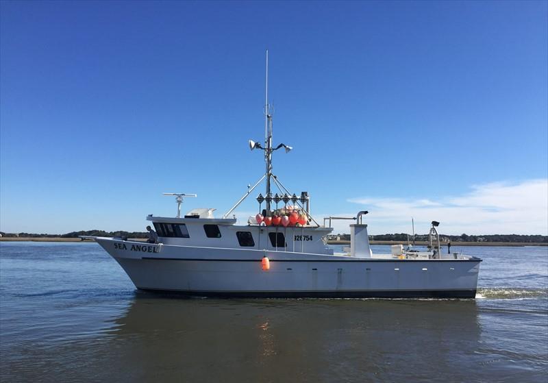 SEA ANGEL - Vesseljoin