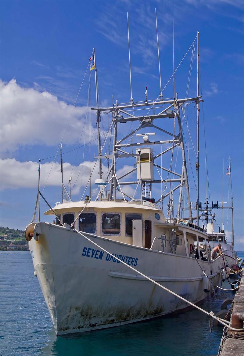 SEVEN DAUGHTERS - Vesseljoin