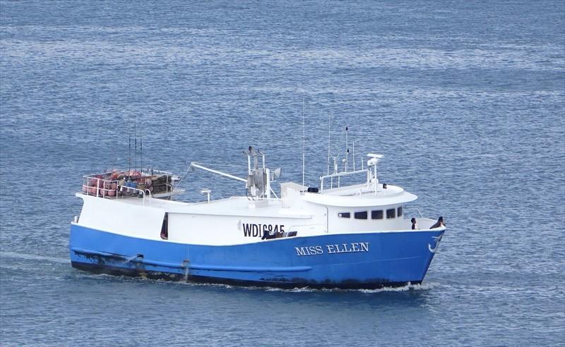 MISS ELLEN - Vesseljoin