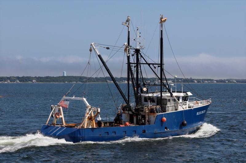 BLUE DELTA - Vesseljoin