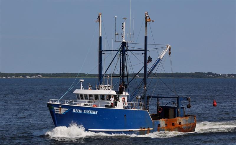 BLUE EASTERN - Vesseljoin