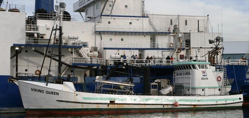 VIKING QUEEN - Vesseljoin