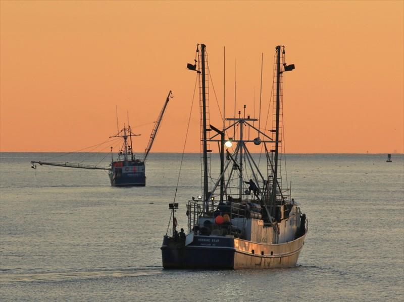 MORNING STAR - Vesseljoin