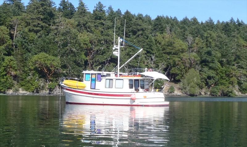 EVA DELIGHT - Vesseljoin