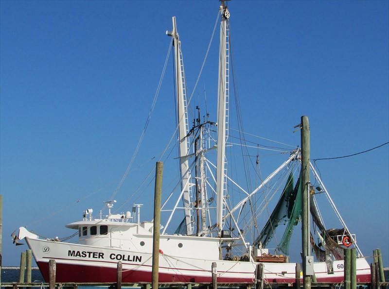 MASTER COLLIN - Vesseljoin