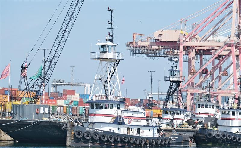 DR MILTON WANER - Vesseljoin